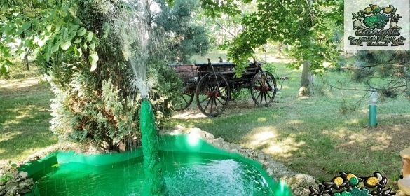Salaš Mali Park Inđija, Gladnoš | Poslovni Imenik Srbije